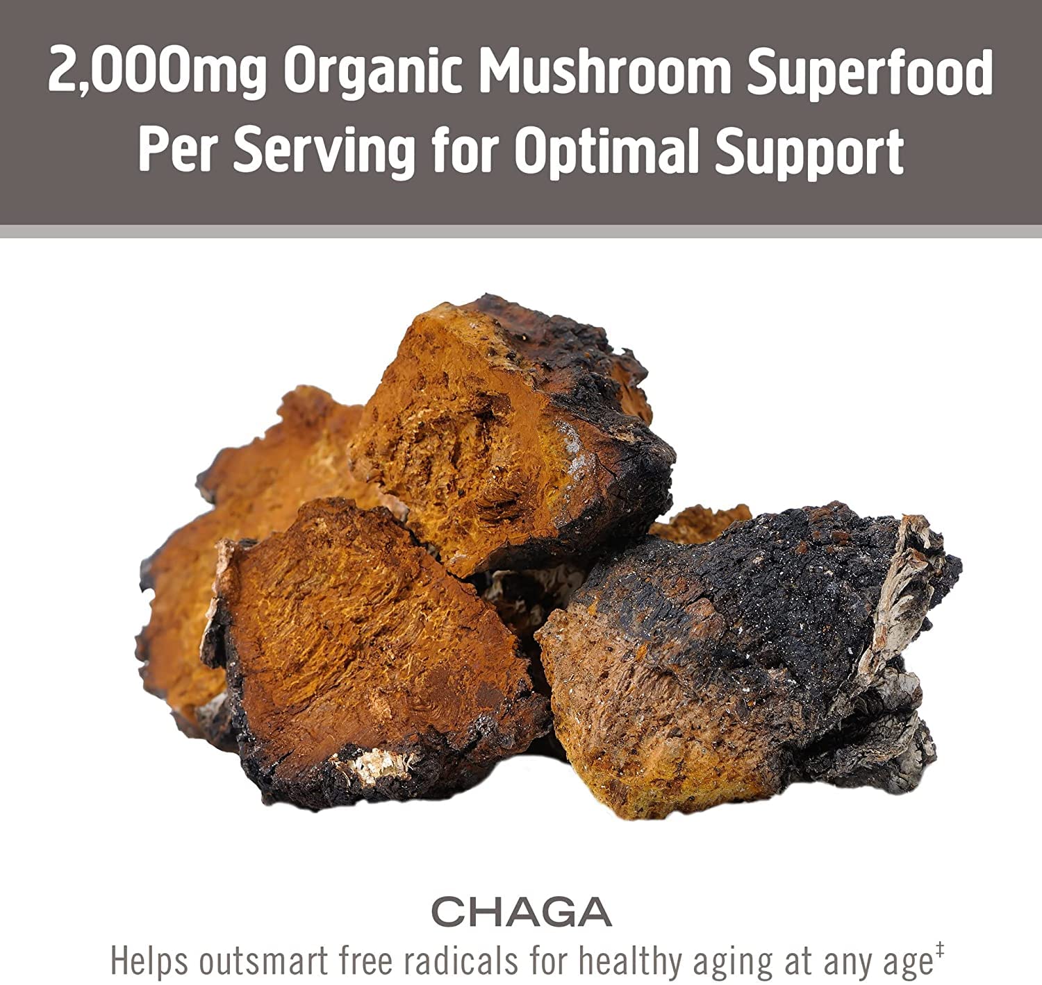 pure organic mushroom extract