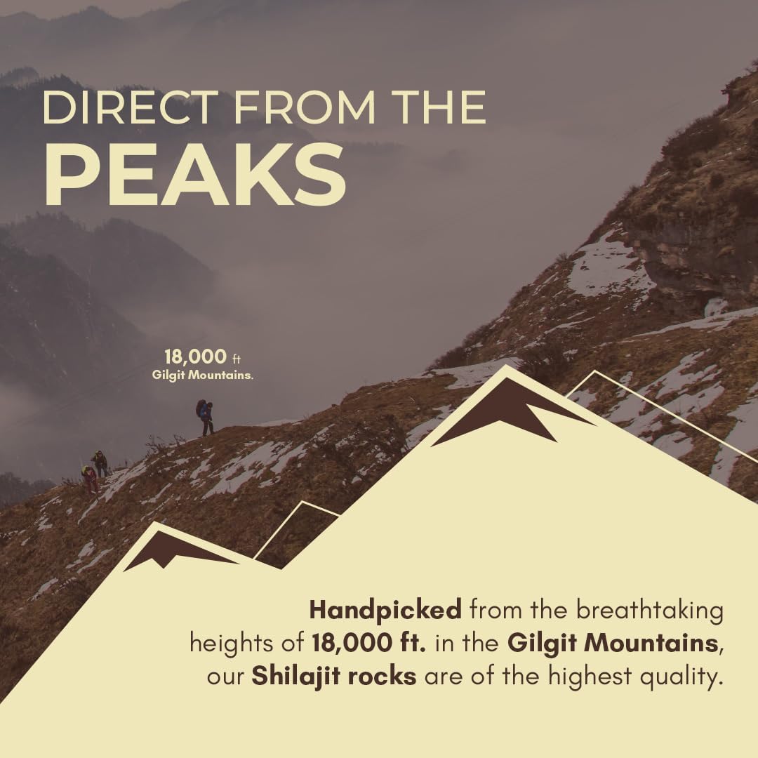 pure organic shilajit for vitality