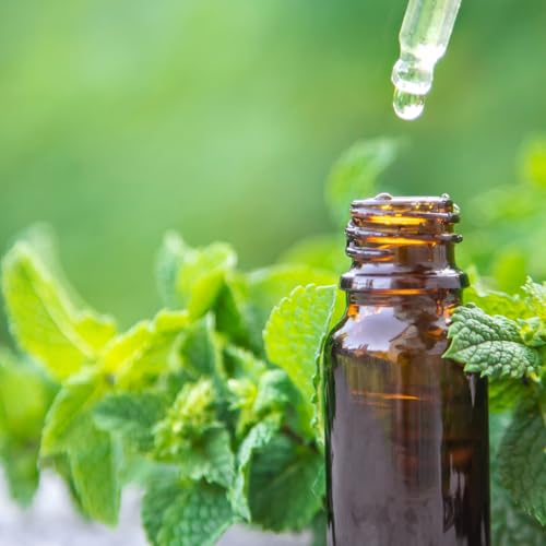 pure peppermint capsules for mental clarity