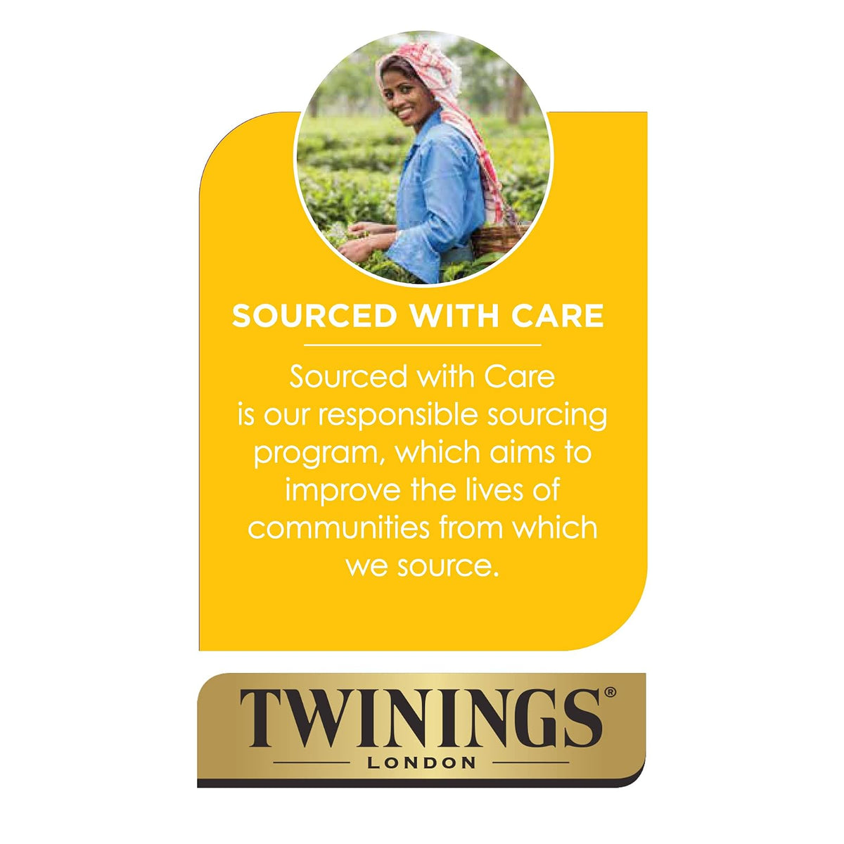 pure peppermint tea for soothing moments