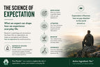 Pure Placebo multivitamins for immune support