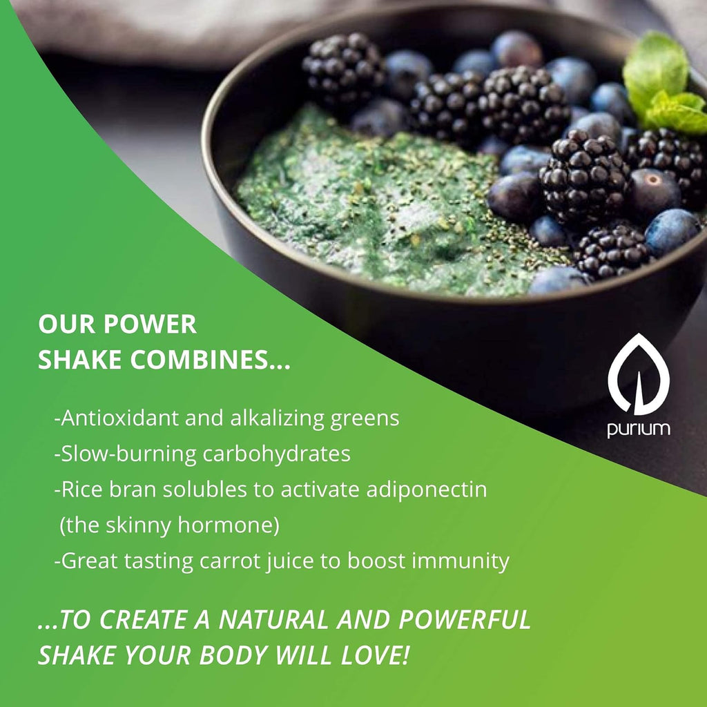 pure plant based protein supplement