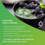 pure plant based protein supplement