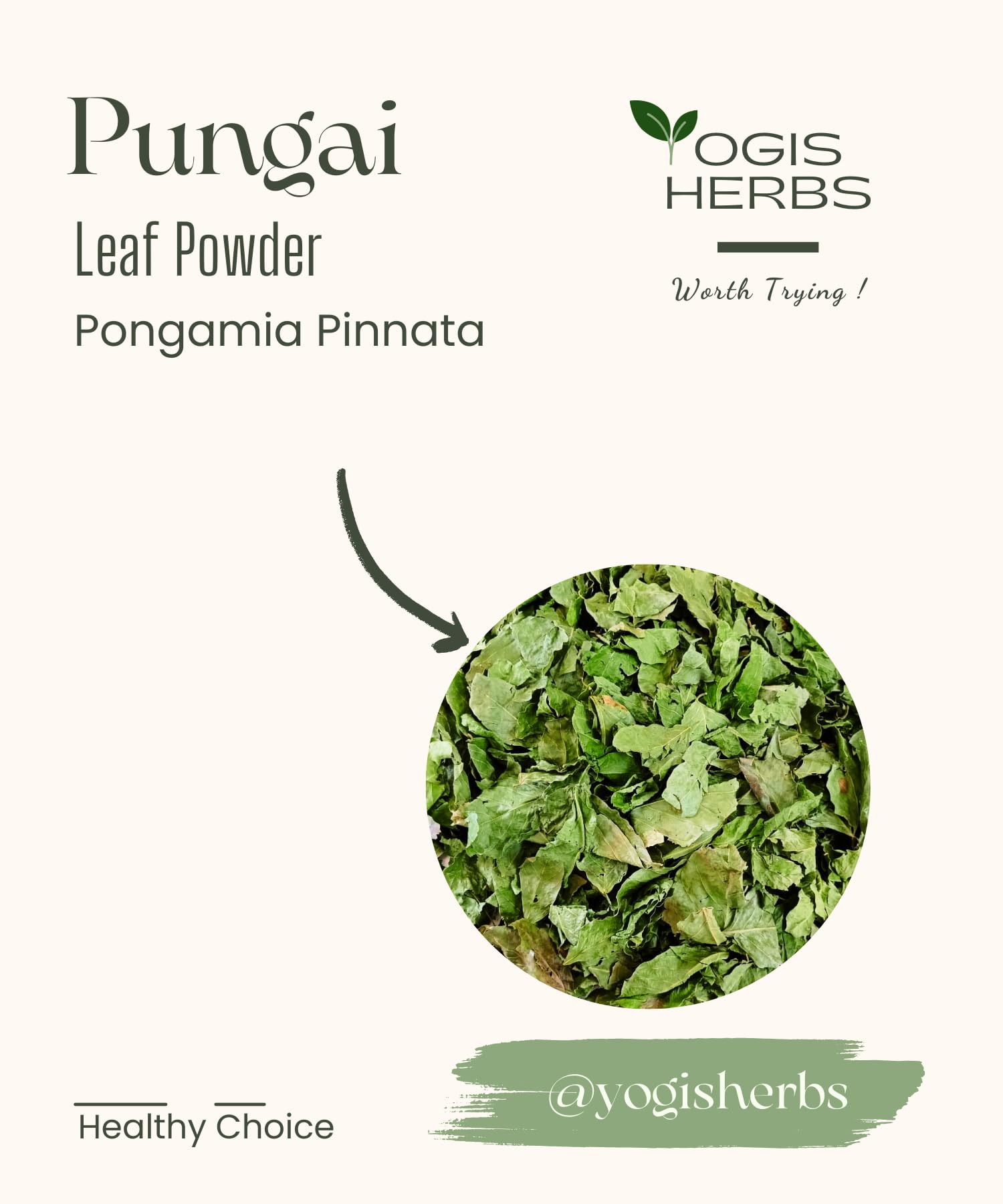 pure Pongamia Pinnata herbal benefits