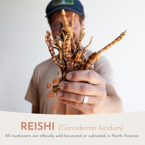 pure reishi mushroom tincture benefits