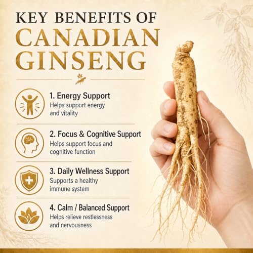 pure root powder ginseng benefits