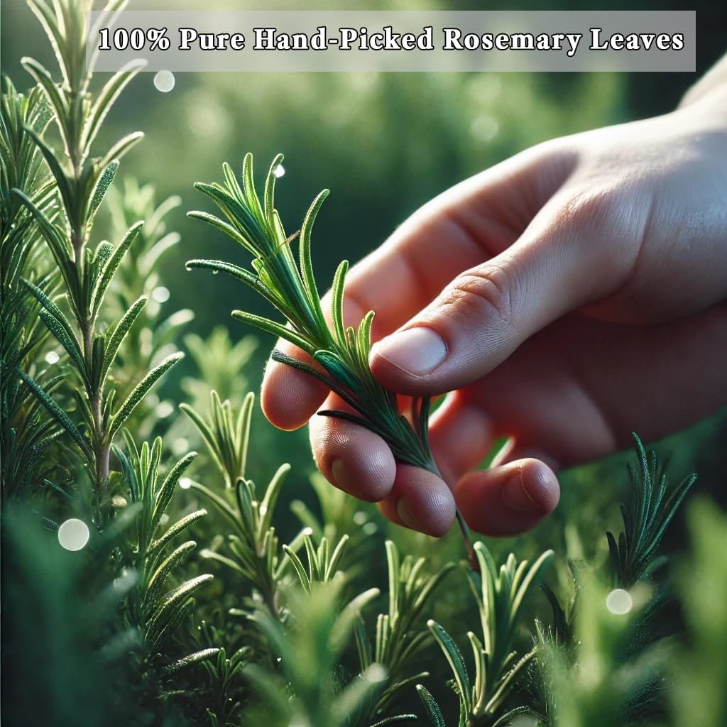 pure rosemary tea for wellness