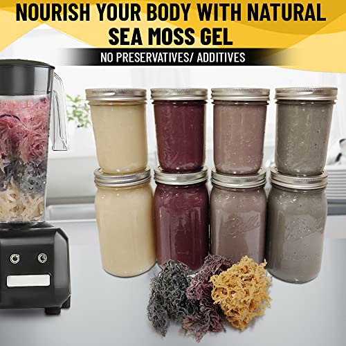 pure sea moss for immune support