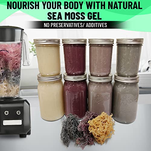 pure sea moss for immune support