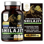 pure shilajit capsules for energy