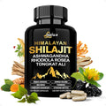 pure shilajit capsules for energy