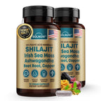 pure shilajit capsules for energy