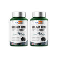 pure shilajit capsules for energy