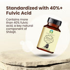 pure Shilajit extract benefits
