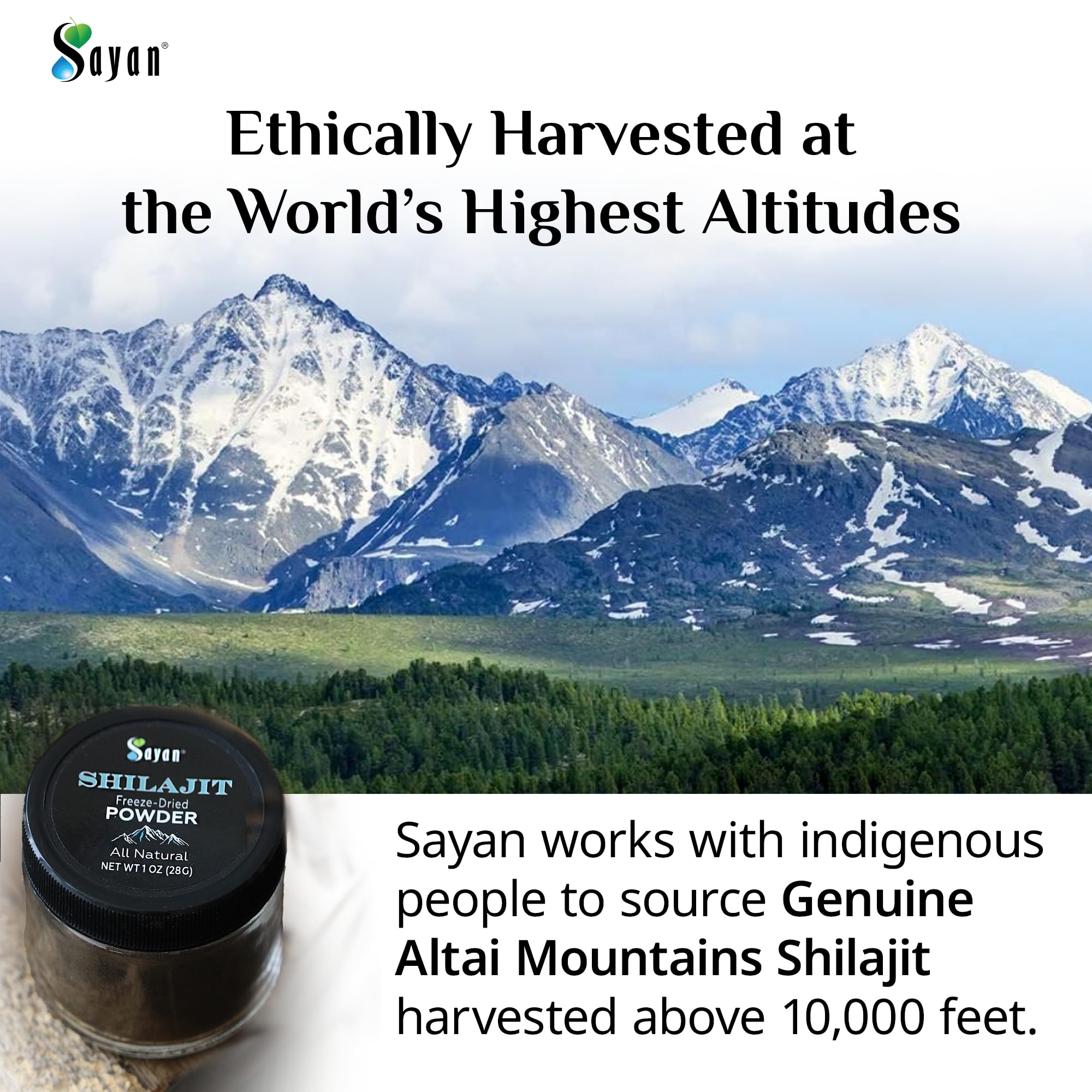 pure shilajit for daily wellness