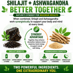 pure shilajit for enhanced performance