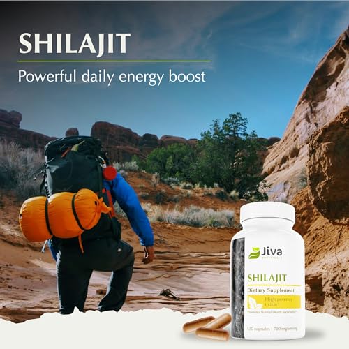 pure shilajit for immune support