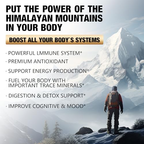 pure shilajit for mental clarity