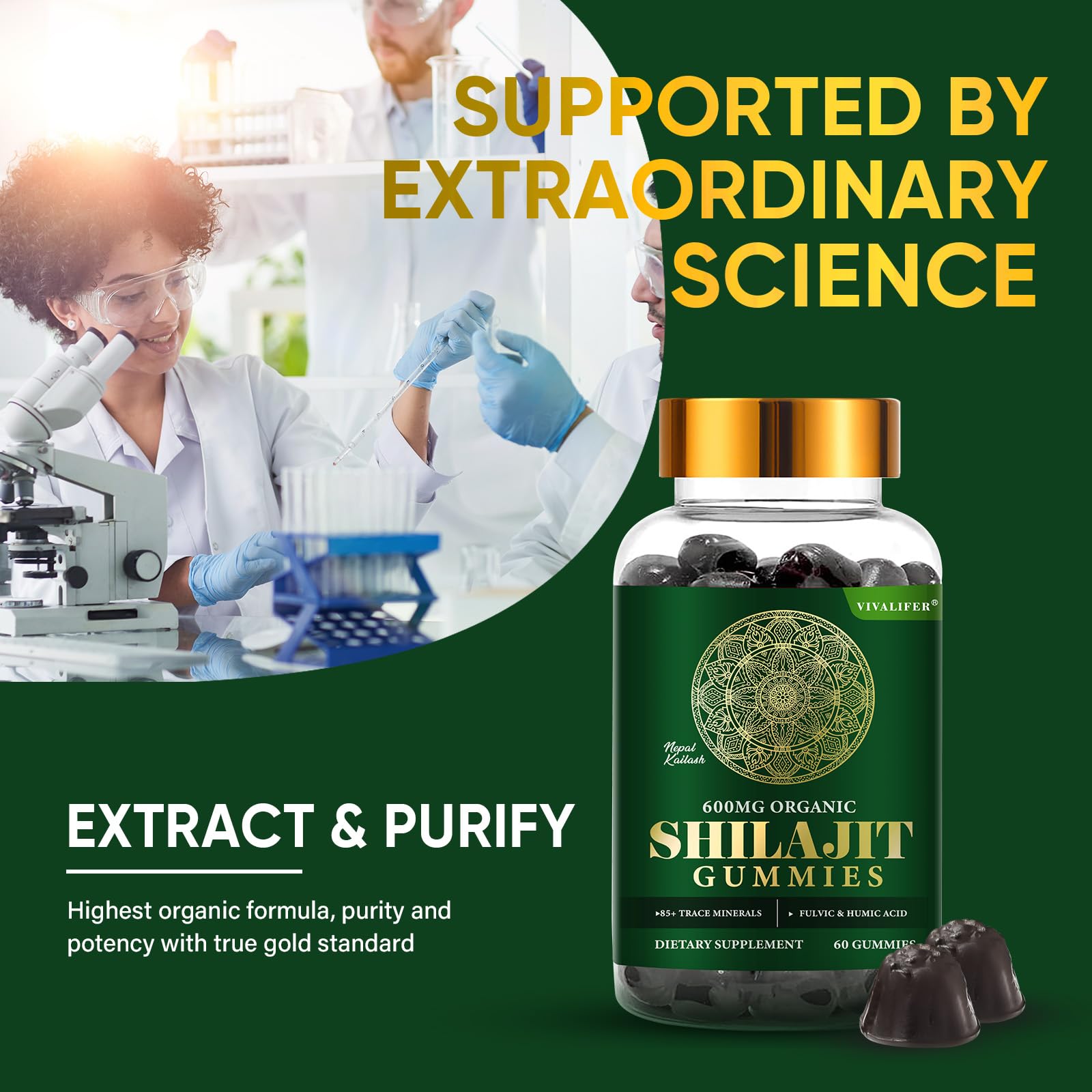 pure Shilajit gummies with essential minerals