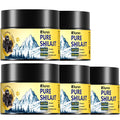 pure shilajit resin for energy