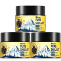 pure shilajit resin for energy