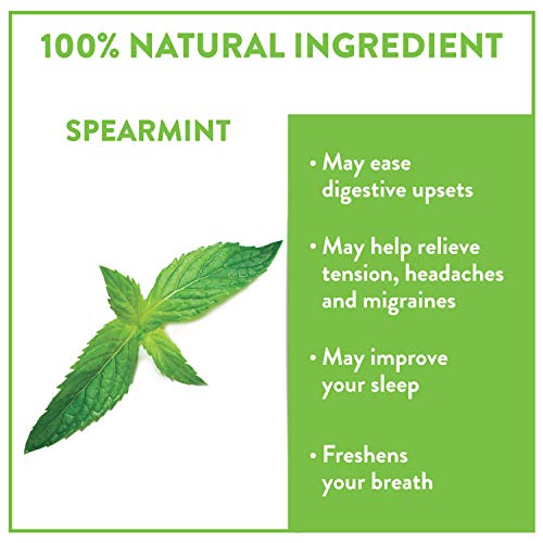 pure spearmint green tea leaves