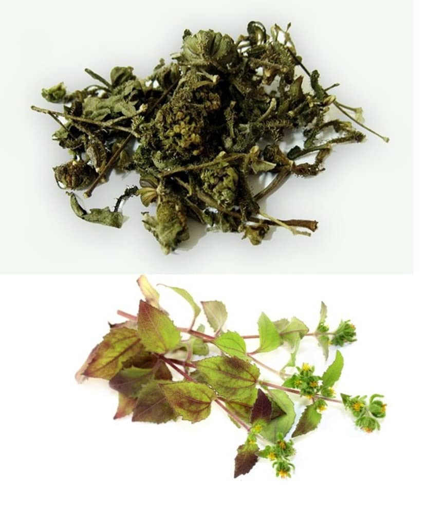 pure st. john's wort herbal remedy