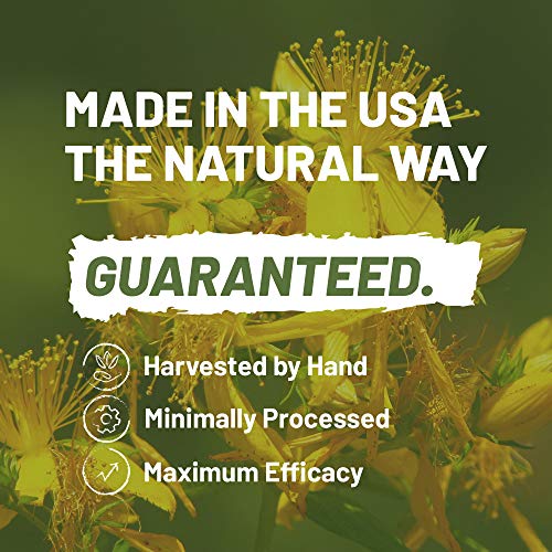 pure st. john's wort powder supplement