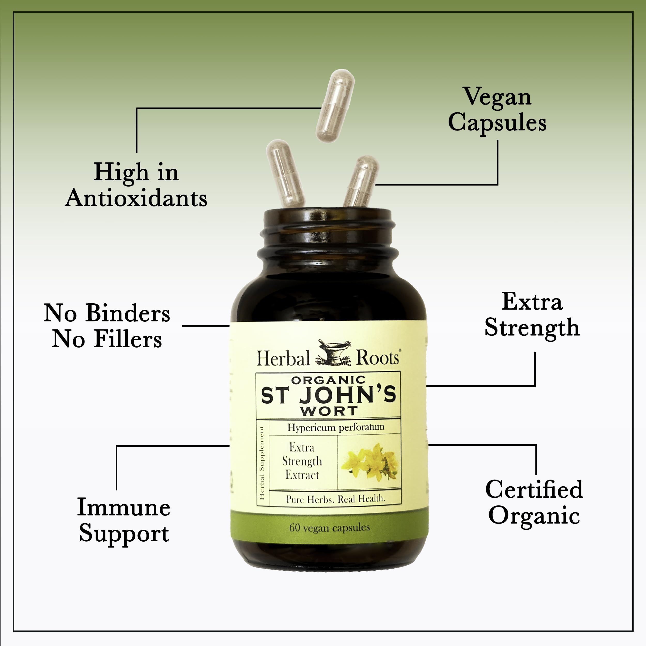 pure st. john's wort with no fillers