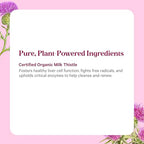 pure synergy herbal milk thistle extract