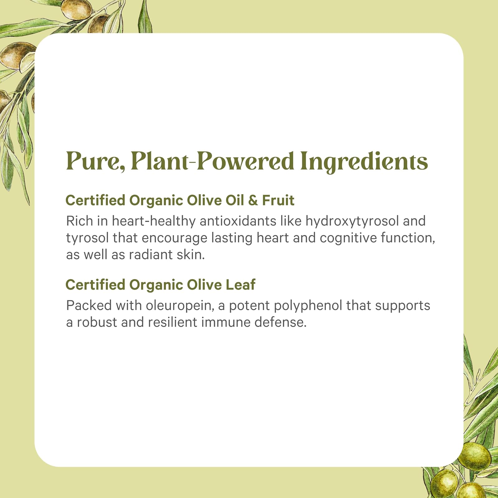 PURE SYNERGY herbal wellness capsules