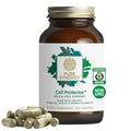 PURE SYNERGY multivitamins for optimal health