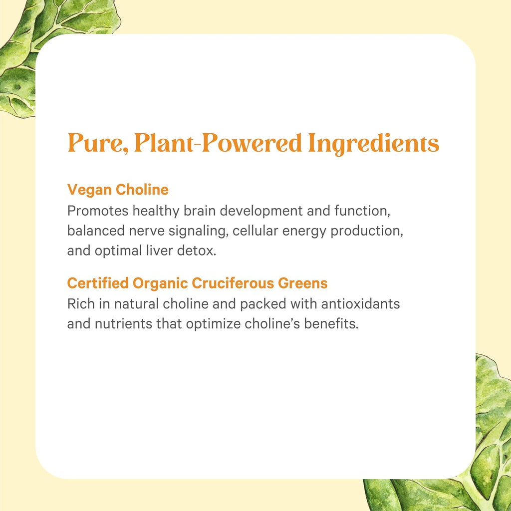 PURE SYNERGY vitamin B complex benefits