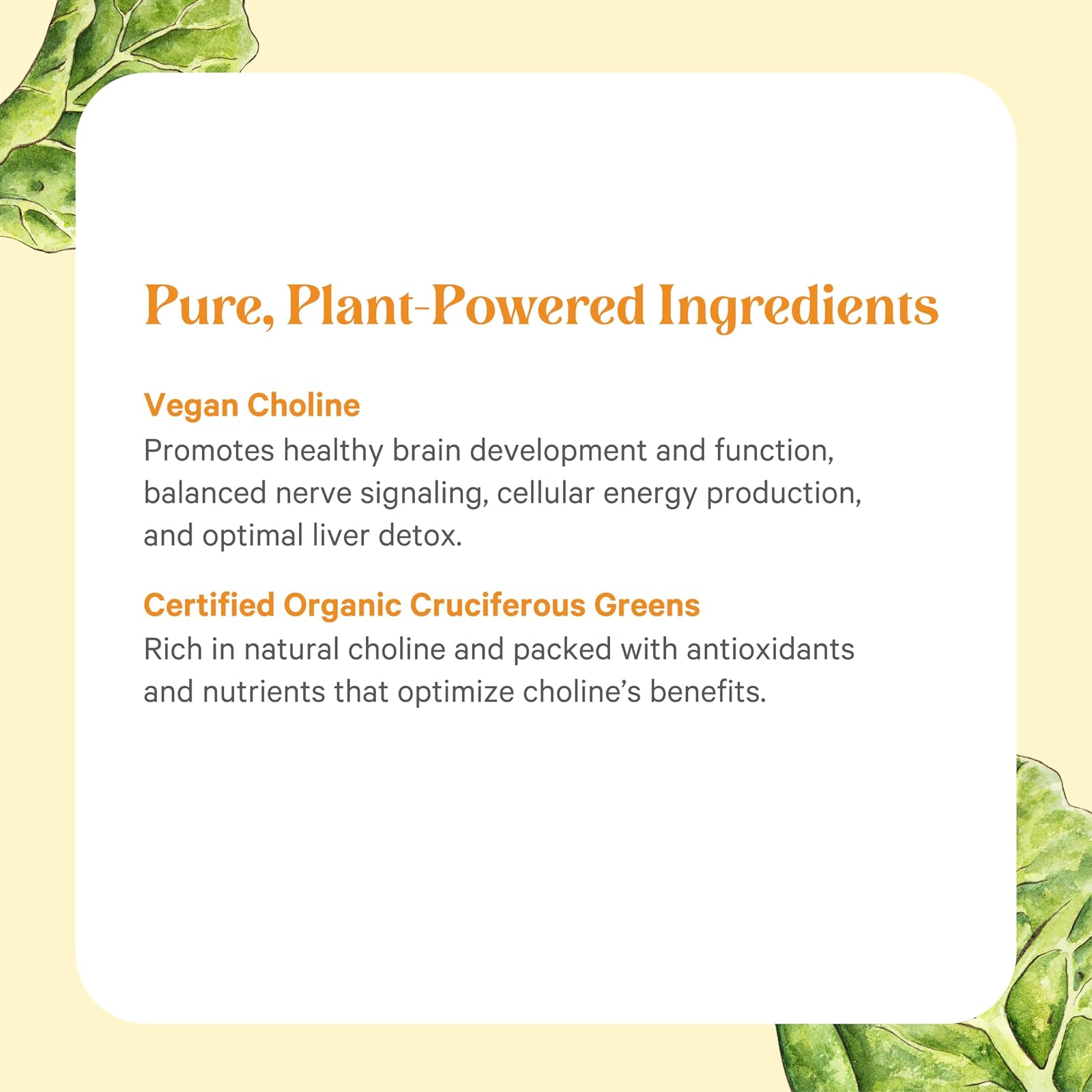 PURE SYNERGY vitamin B complex benefits