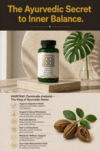Pure Terminalia Chebula supplement benefits