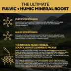 pure trace minerals for vitality