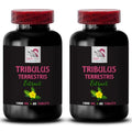 pure tribulus terrestris extract capsules