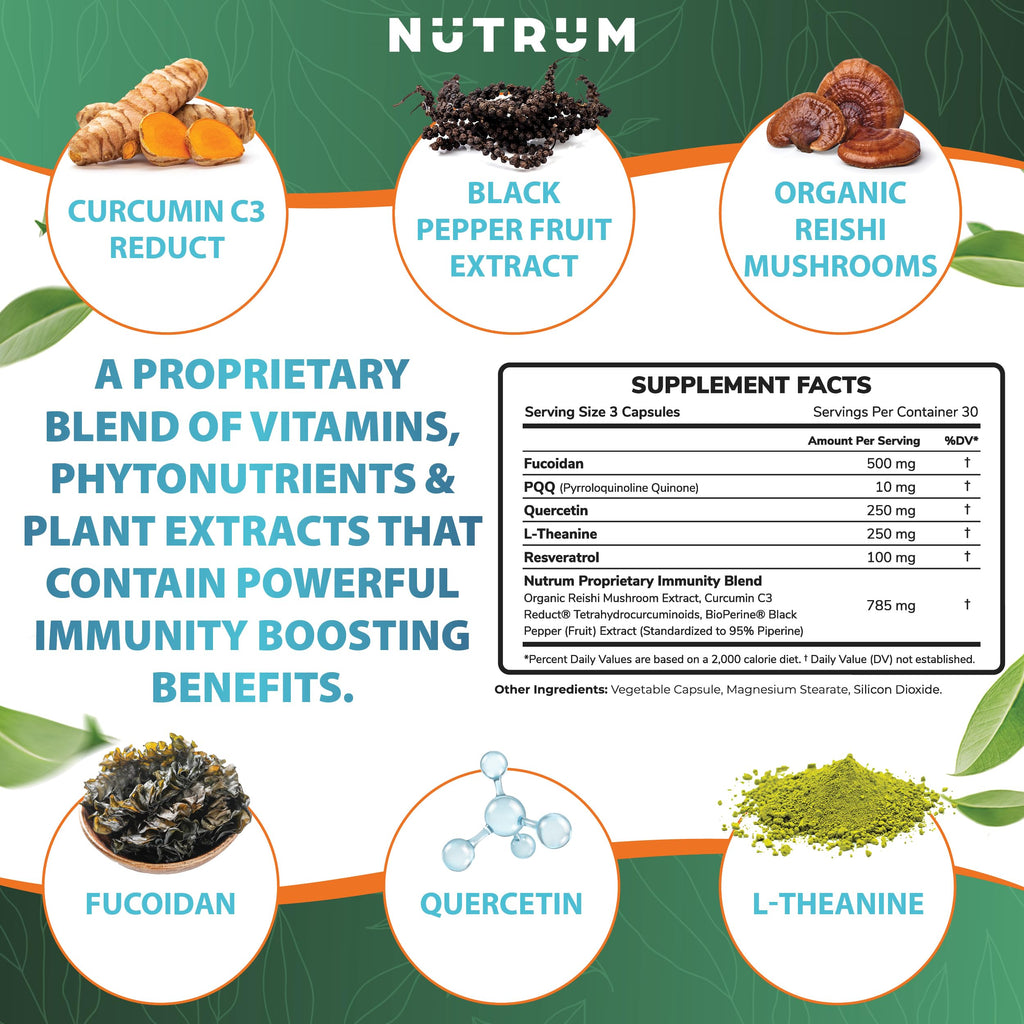 pure turmeric curcumin 95 supplement