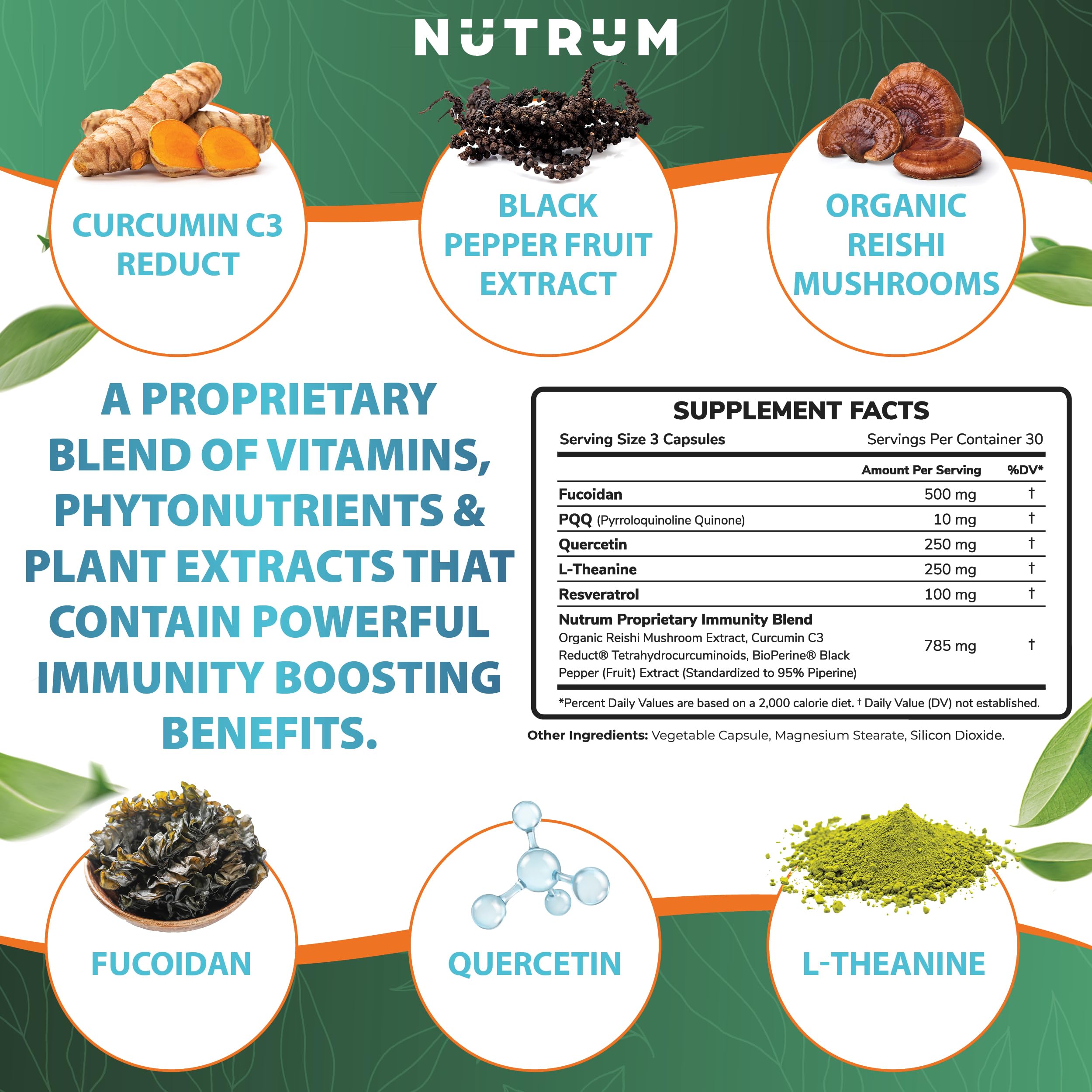 pure turmeric curcumin 95 supplement