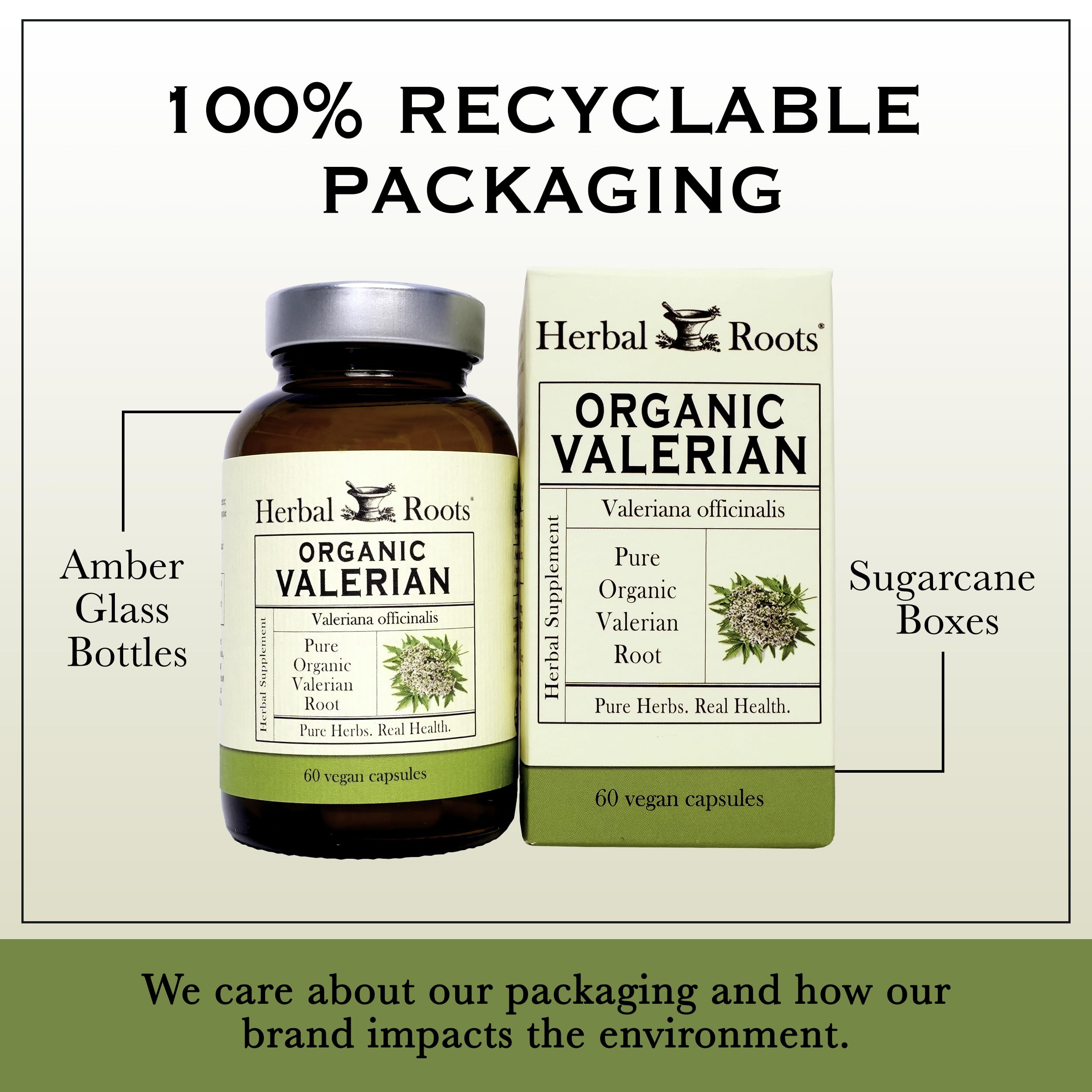 pure valerian root extract