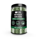 pure wheat grass capsules for health