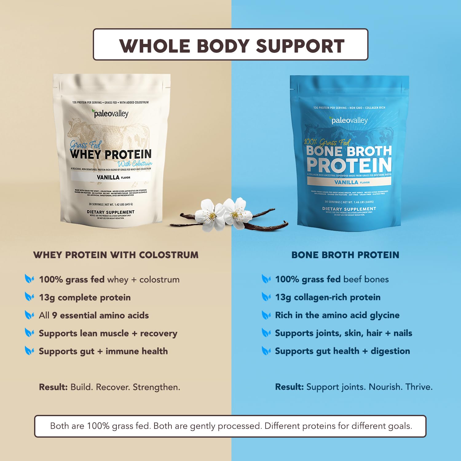 pure whey protein for healthy lifestyle