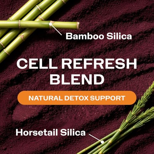 pure wild blueberry antioxidant source