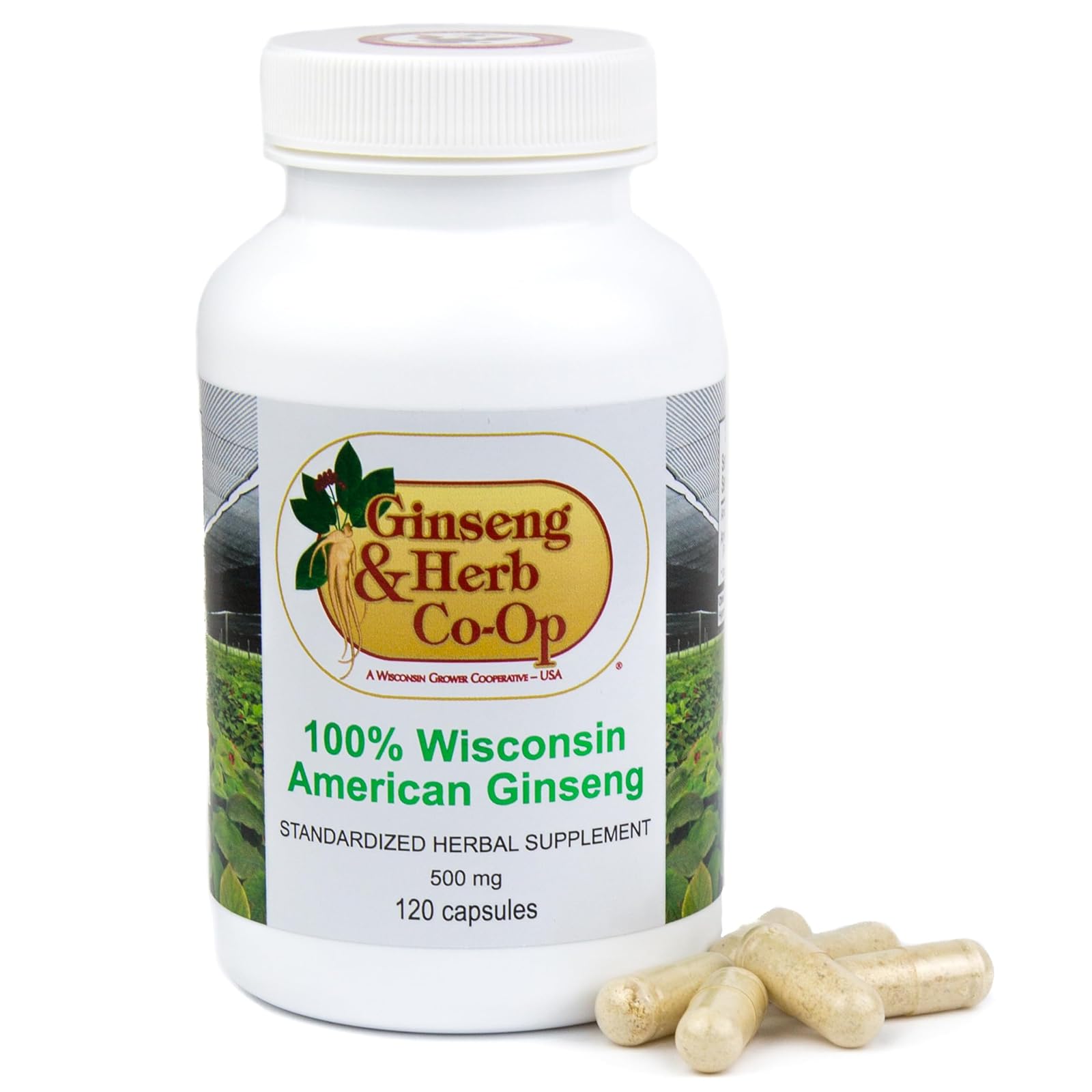 pure Wisconsin ginseng capsules