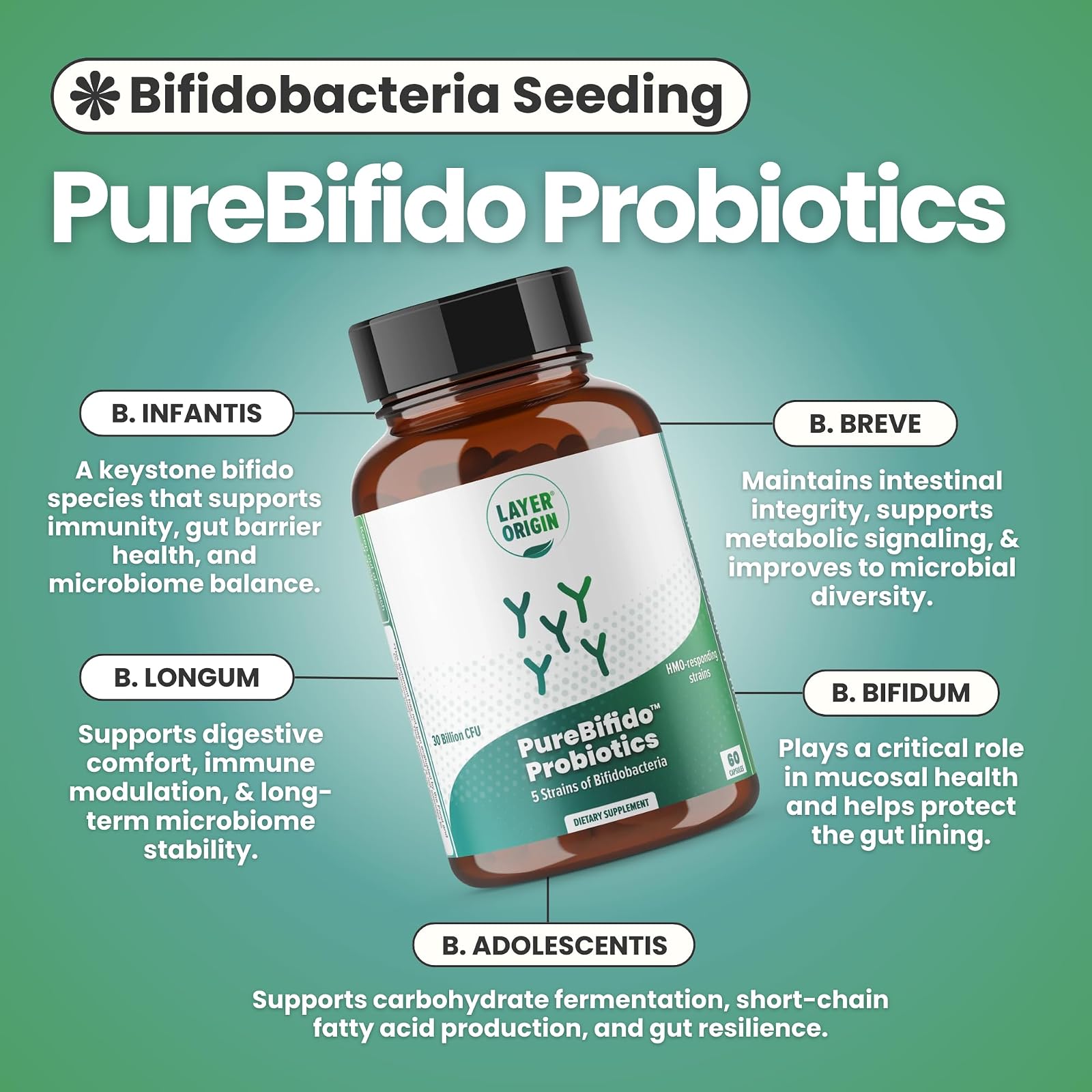 PureBifido digestive support supplement