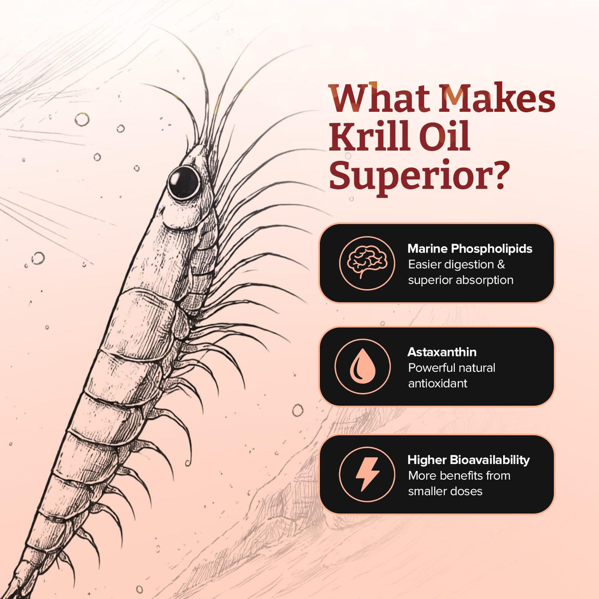 PureClinica krill oil supplement