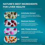 PUREHEALTH liver health benefits