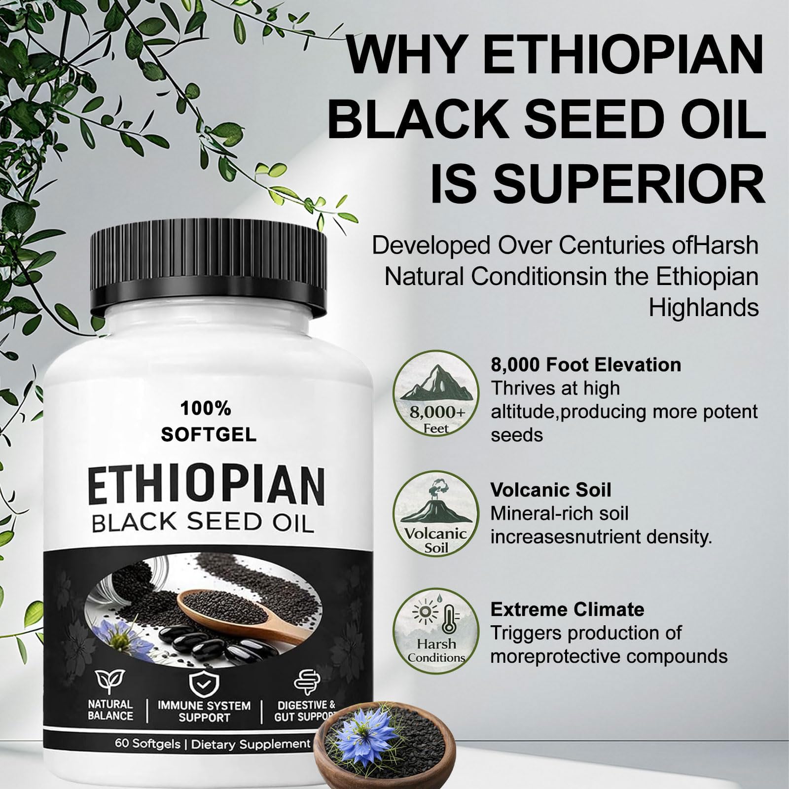 Purely Ethiopian softgels for immunity