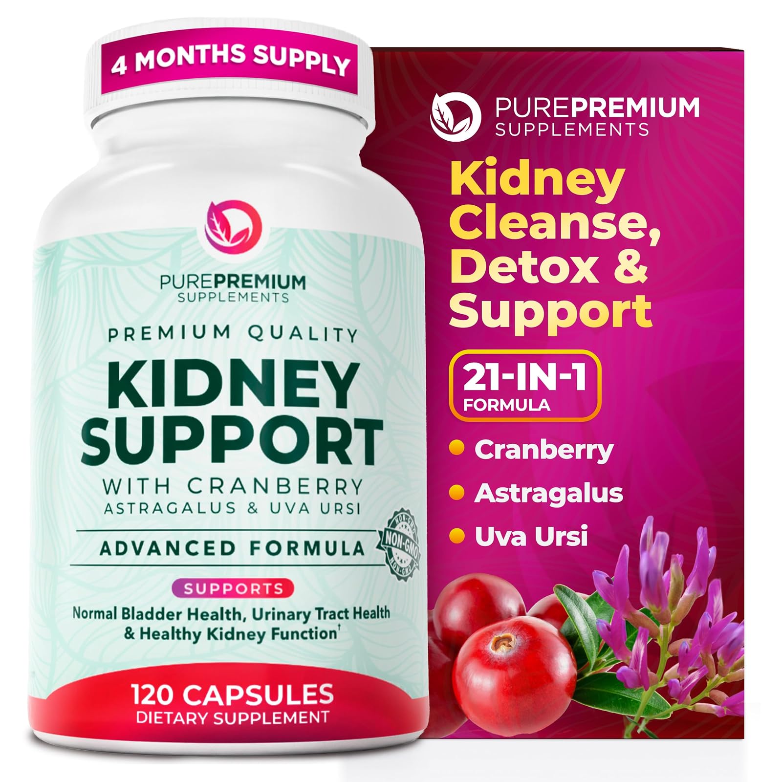PurePremium astragalus kidney health support