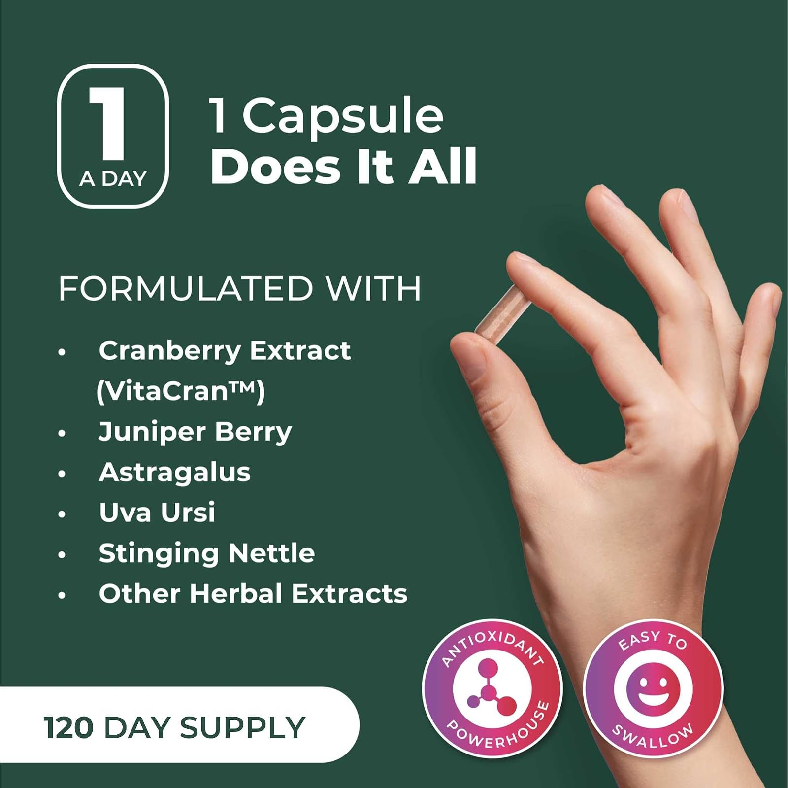 PurePremium herbal remedy for kidneys